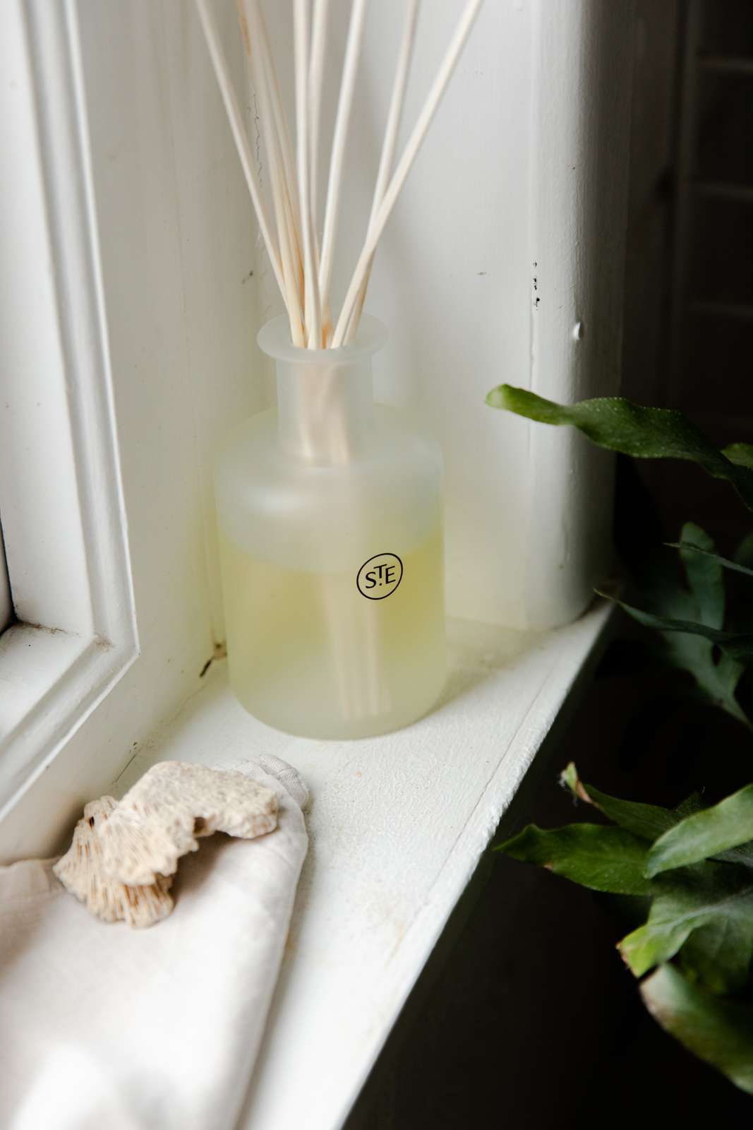 St Eval Candle Company| St Eval Bay & Rosemary| St Eval diffuser - Willow & Wild
